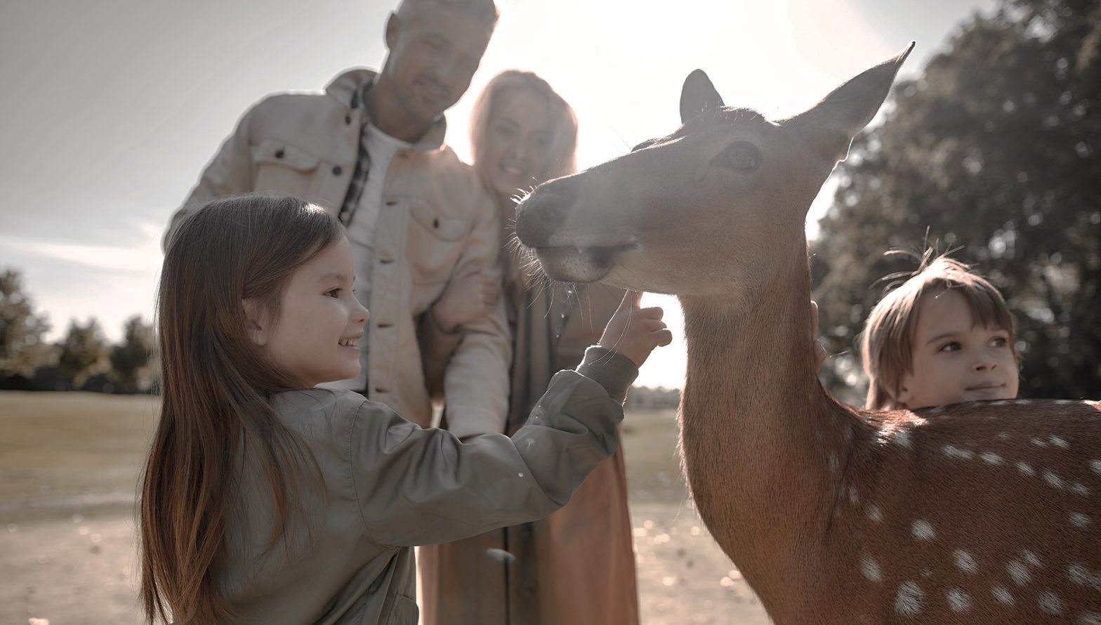 ARCA - Restaurant, Cazare, Evenimente, Experiențe